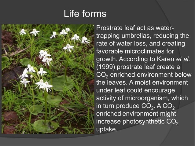 Geophytes of western ghats | PPTX | Gardening | Home & Garden