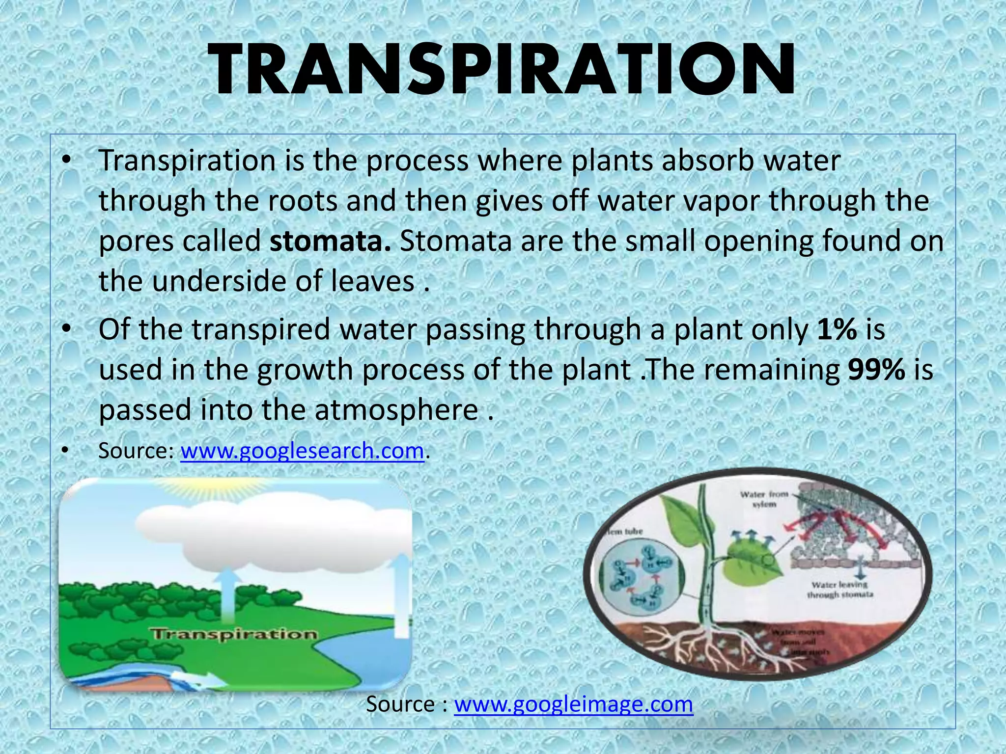 Hydrological cycle powerpoint presentation | PPTX