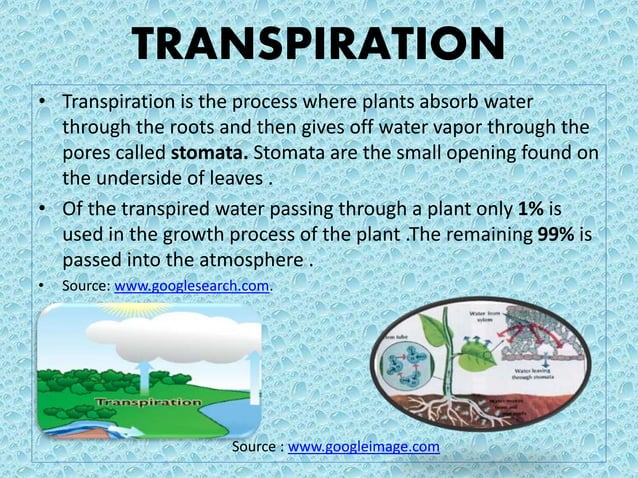 Hydrological cycle powerpoint presentation | PPTX