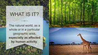 Environment: Africa | PPTX