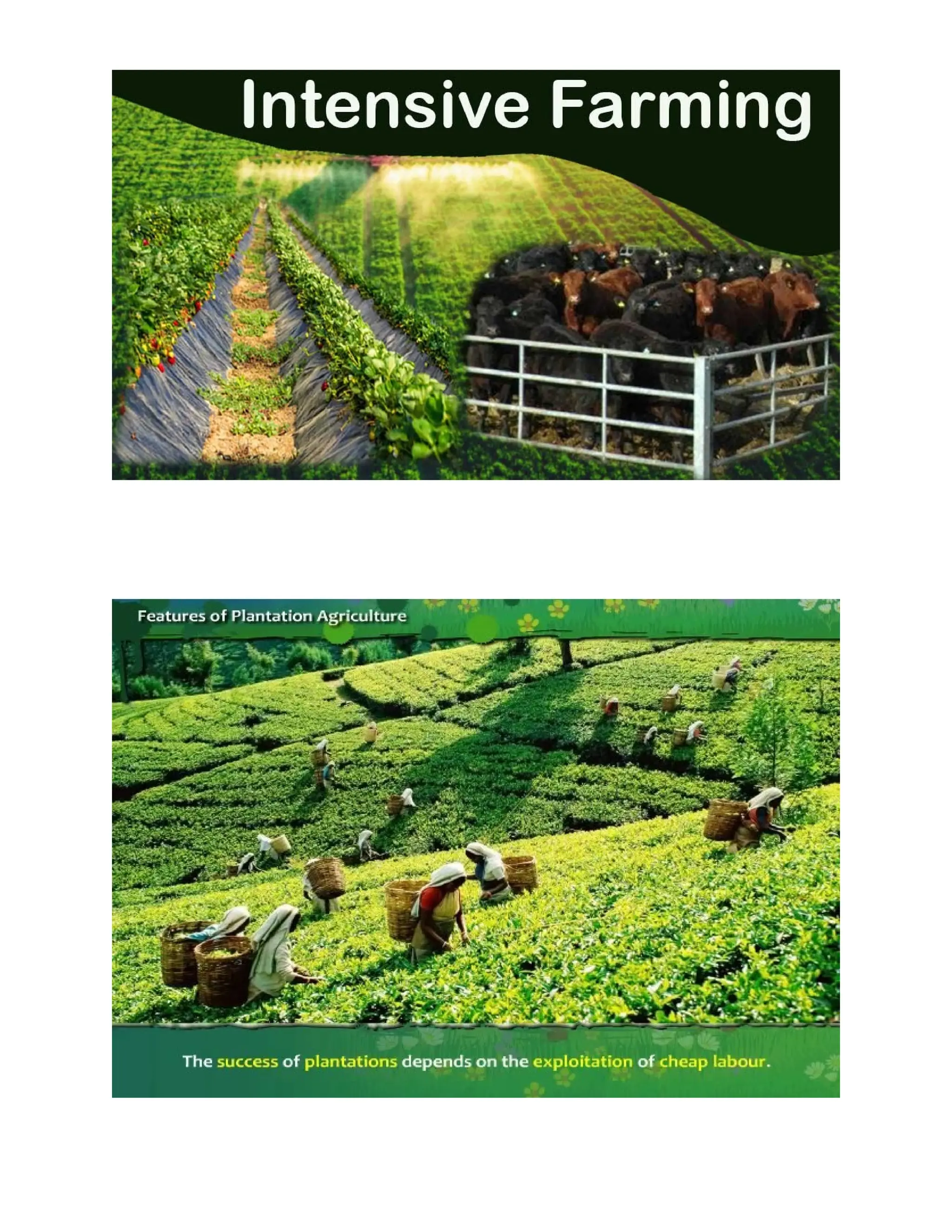 A project on different types of farming in India | PDF