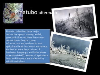 Geoproject_Pinatubo 1991 | PPS