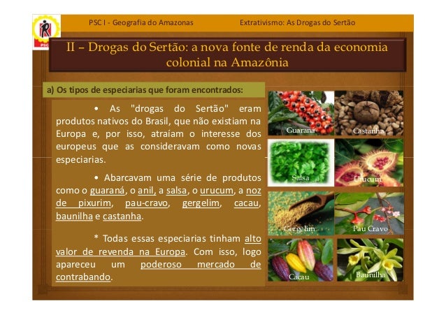 GEO PSC1 - Extrativismo de Drogas do Sertão na Amazônia