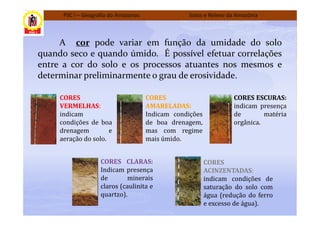 GEO PSC1 - Solos e Relevo da Amazônia | PDF