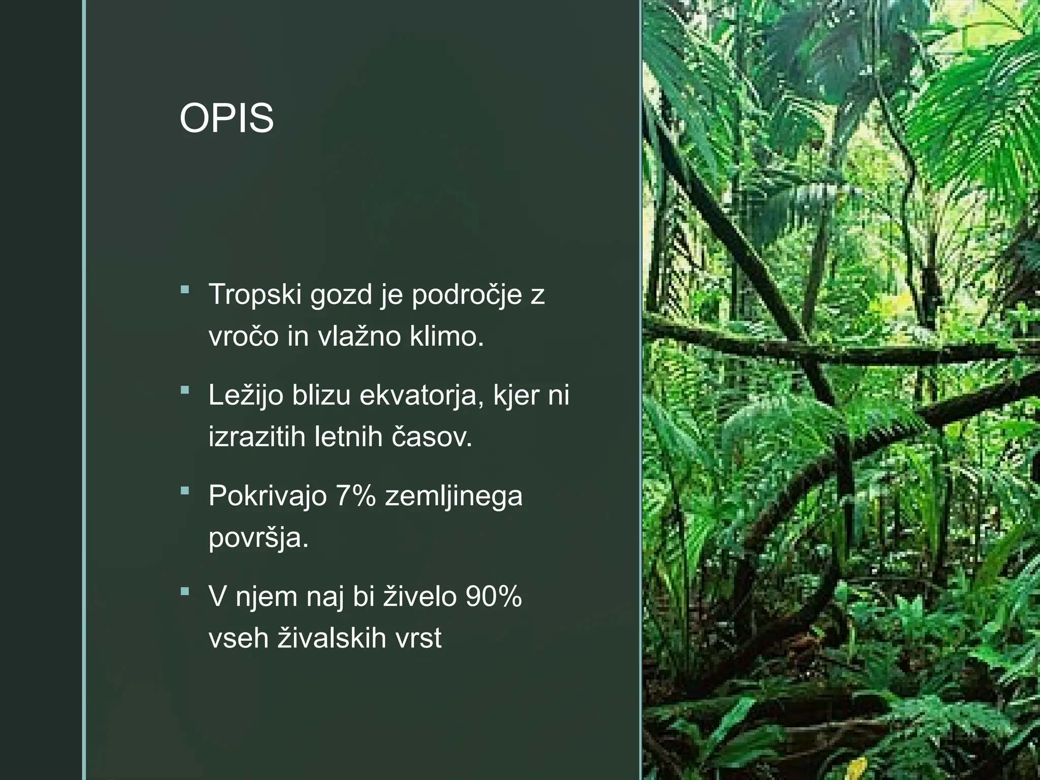 geo_ref_tropski_dezevni_gozd_07__predstavitev 1.pptx