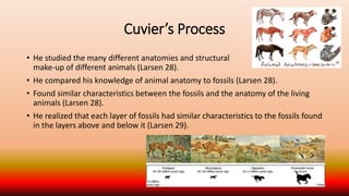 Georges cuvier | PPTX | Geology | Science
