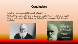 Georges cuvier | PPTX | Geology | Science