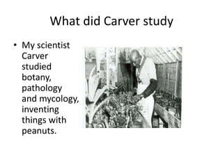 George washington carver | PPT