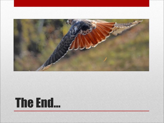 Georgia animal research project jacob y | PPT