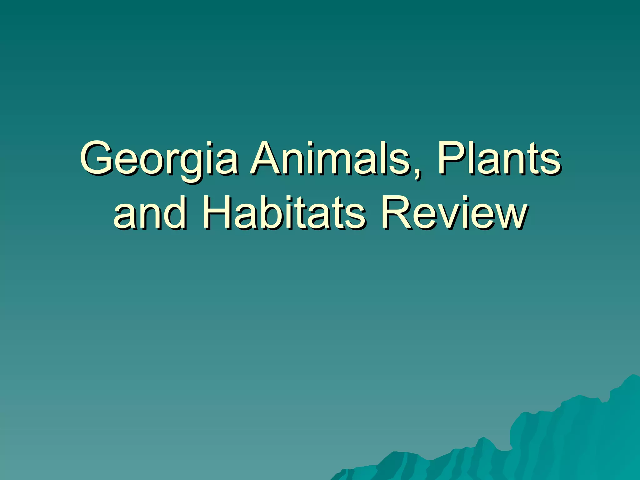 Georgia Animals, Plants And Habitats Review | PPT