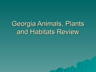 Georgia Animals, Plants And Habitats Review | PPT