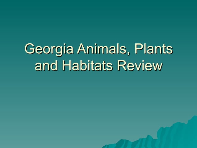 Georgia Animals, Plants And Habitats Review | PPT