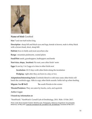Georgia birds field guide | PDF