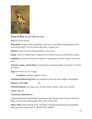 Georgia birds field guide | PDF