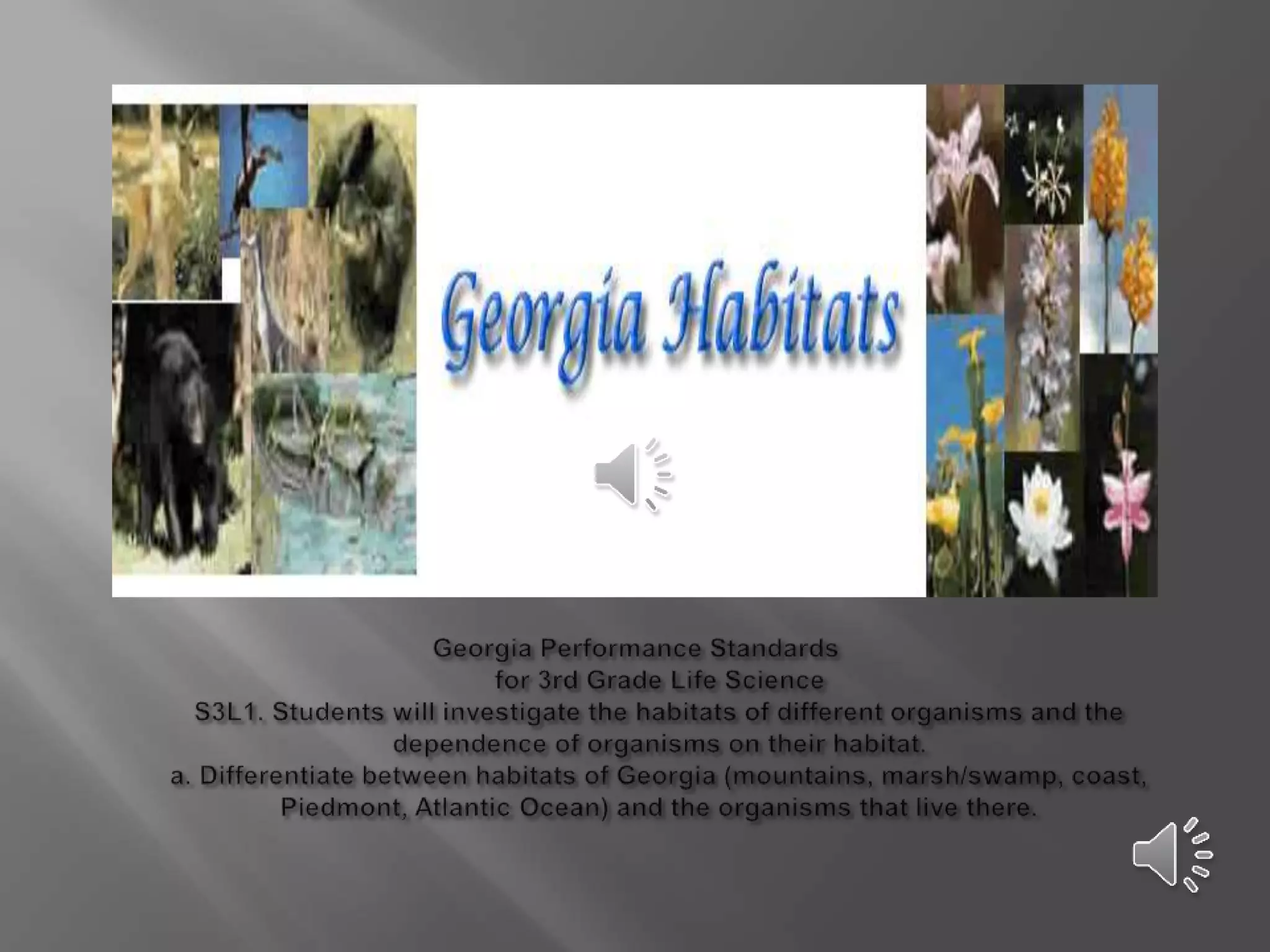 Georgia Habitats Project for 3rd Grade Students | PPTX