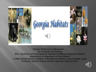 Georgia Habitats Project for 3rd Grade Students | PPTX