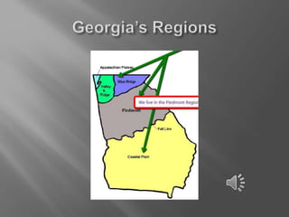 Georgia Habitats Project for 3rd Grade Students | PPTX