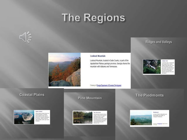 Georgia Habitats Project for 3rd Grade Students | PPTX