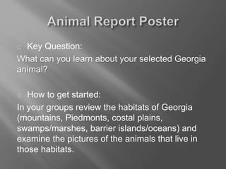 Georgia Habitats Project for 3rd Grade Students | PPTX