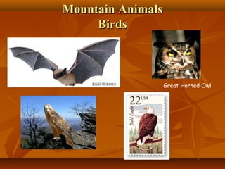 Georgia habitats | PPT