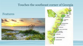 Georgia Habitats Atlantic Ocean | PPTX