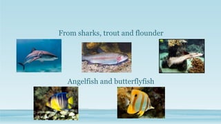 Georgia Habitats Atlantic Ocean | PPTX