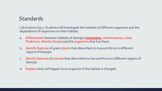 Georgia Habitats: Mountains | PPTX