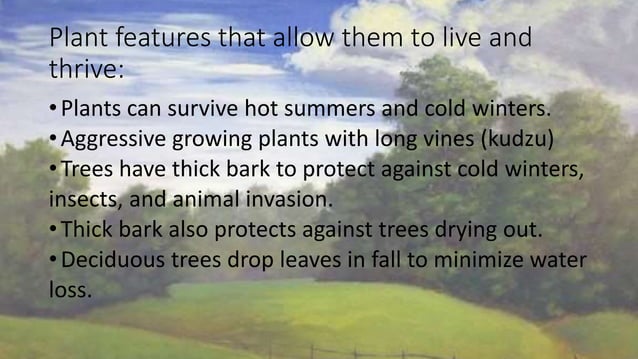 Georgia Habitats Piedmont | PPTX