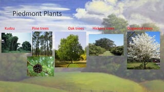 Georgia Habitats Piedmont | PPTX
