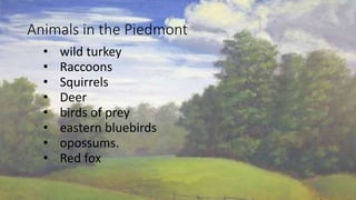 Georgia Habitats Piedmont | PPTX