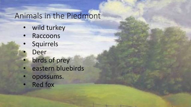 Georgia Habitats Piedmont | PPTX