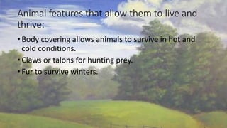 Georgia Habitats Piedmont | PPTX
