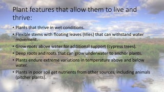 Georgia habitats Swamps Marsh | PPTX