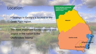 Georgia habitats Swamps Marsh | PPTX