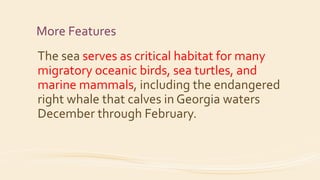 Georgia Habitats The Coast | PPTX | Geography | Science