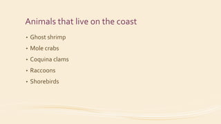 Georgia Habitats The Coast | PPTX