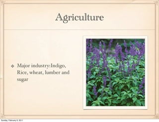 Georgia presentation | PDF