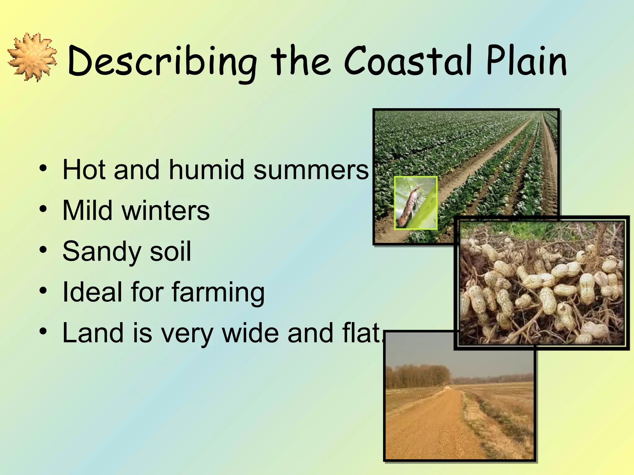 Georgia's Coastal Plain Region | PPT