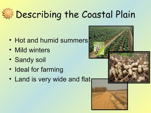 Georgia's Coastal Plain Region | PPT