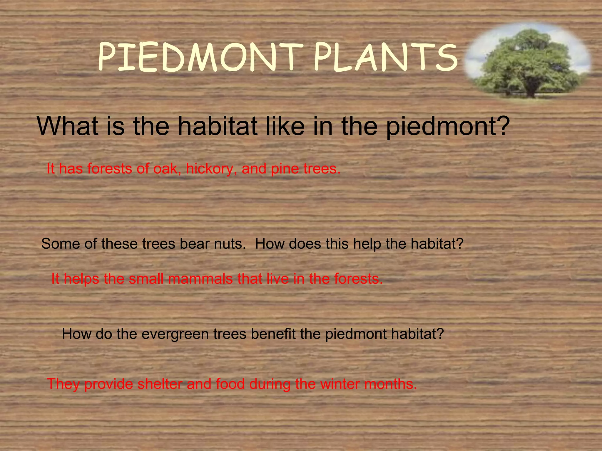 Georgia's Piedmont Region | PPT
