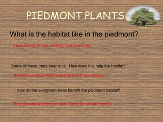 Georgia's Piedmont Region | PPT
