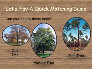 Georgia's Piedmont Region | PPT