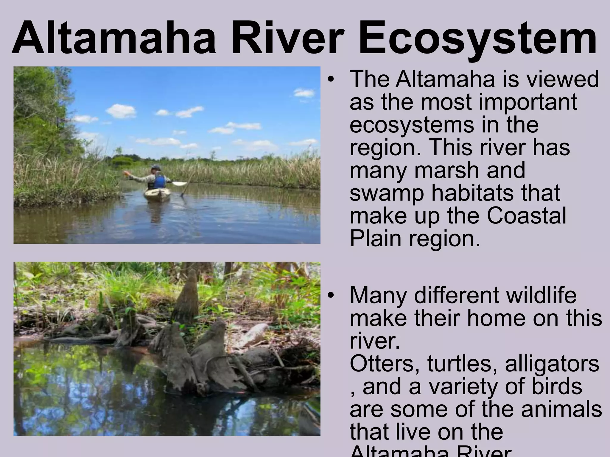 Georgia's Rivers | PPTX