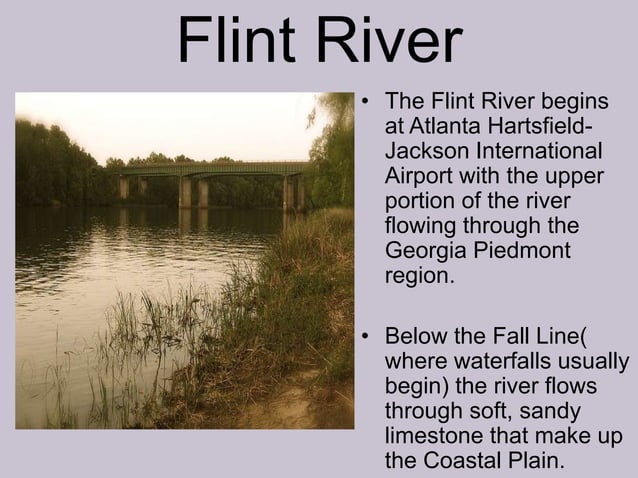 Georgia's Rivers | PPTX | Geography | Science