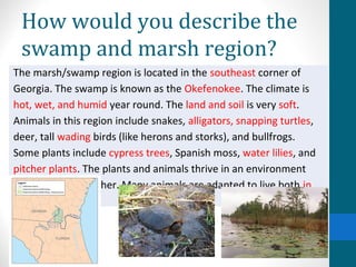 Georgia's Marsh and Swamp Habitat | PPT
