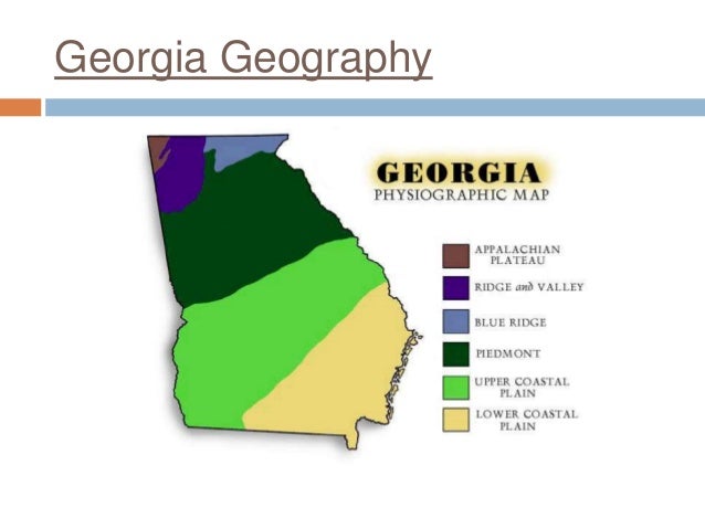Georgia studies review 2