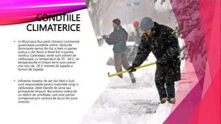 Georgrafia Bucuresti.ppt