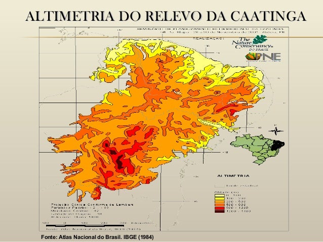 Um estudo de Caso sobre a Caatinga