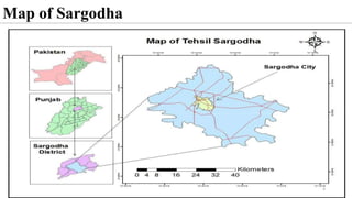 Geospatial analysis of urbanization in Sarghoda,pakistan | PPT