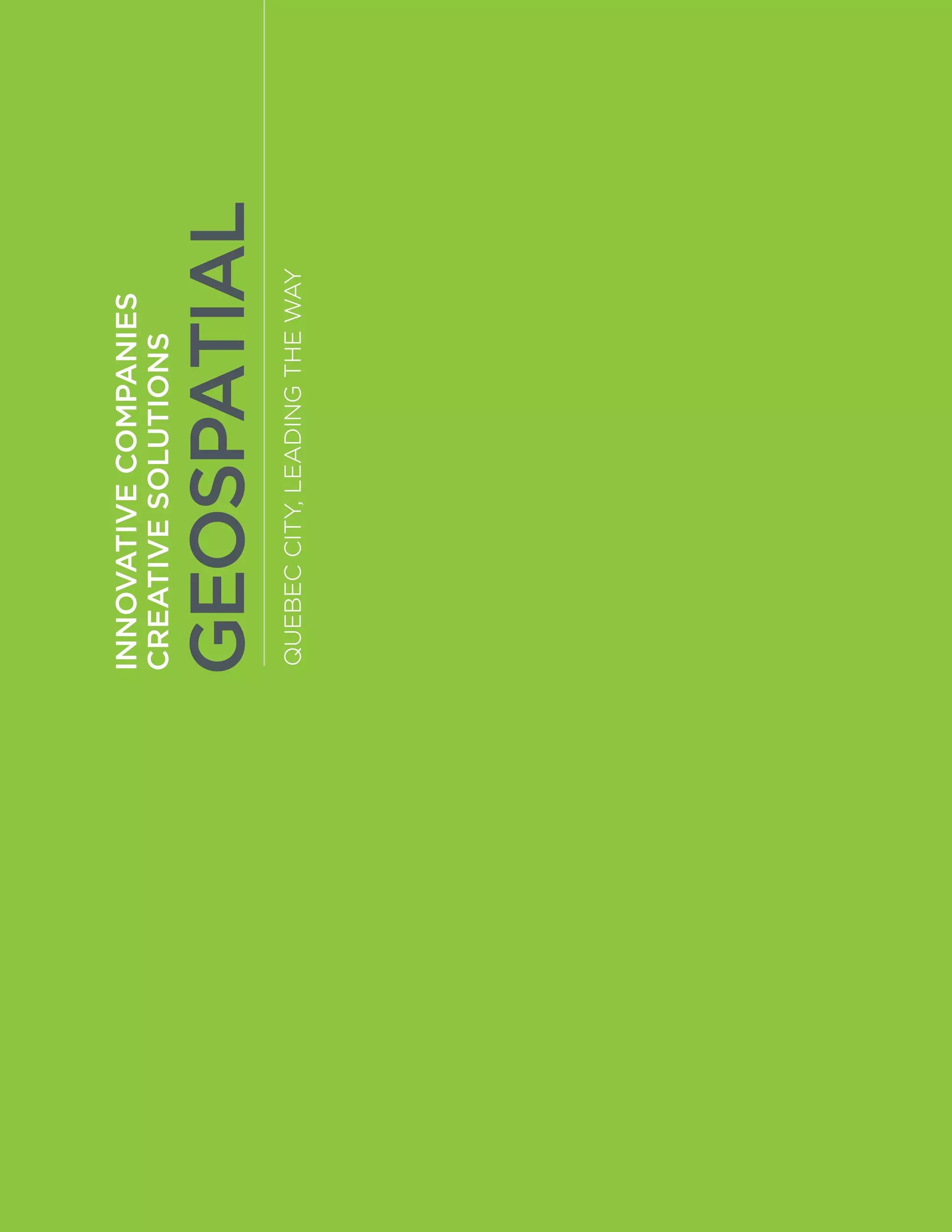 Geospatial Industry Brochure | PDF